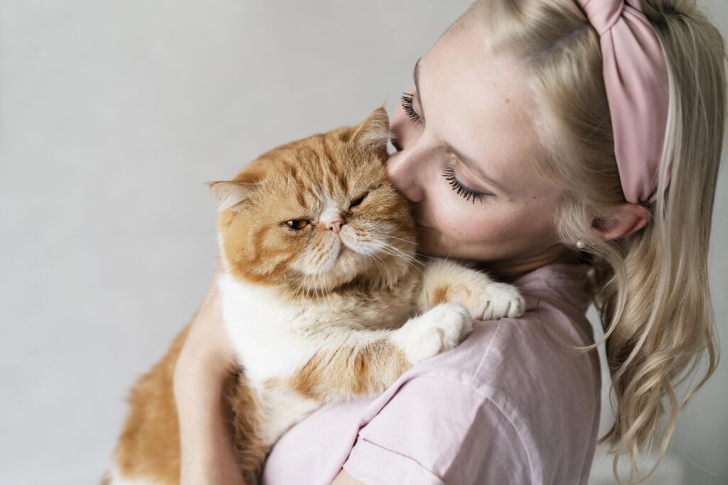 Estrategia Marketing Digital Ecommerce Gatos - EximiaStudio